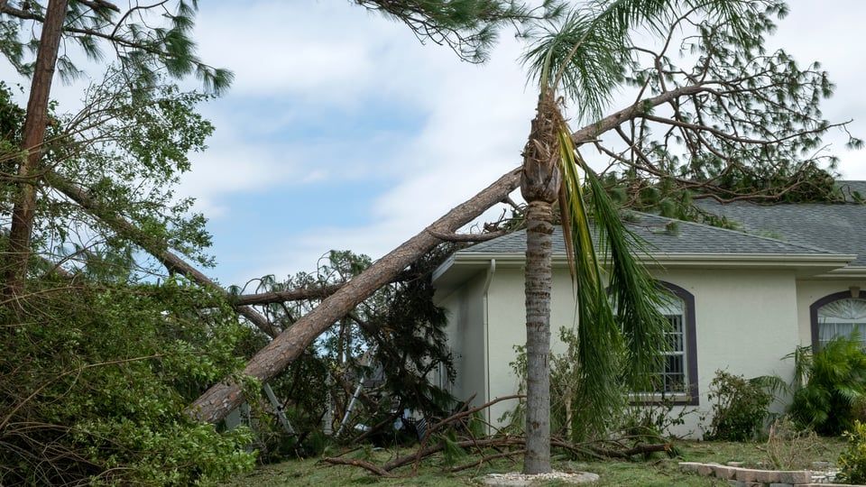 Power Outage Safety Checklist: Before, During, After | PowerOutage.us